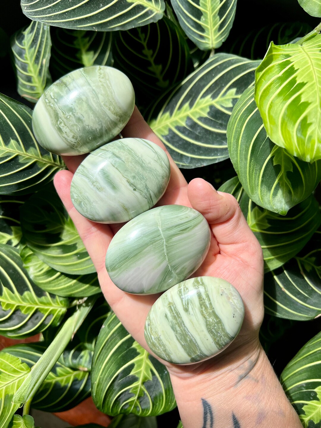 Banded Serpentine Palm Stones | Infinite Stone Palm Stones (choose Size ...