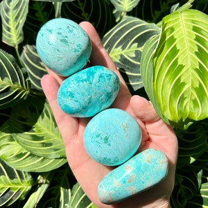 Peruvian Turquoise Palm Stones | Genuine Turquoise Pocket Stones ...