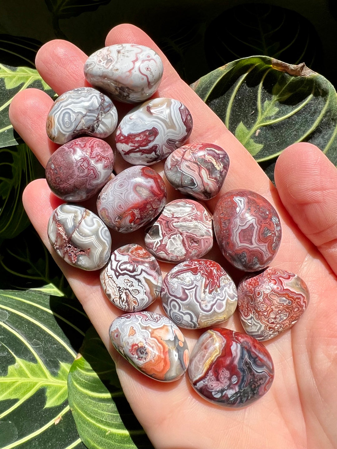 Mexican Crazy Agate Tumble Bags | Mexican Lace Agate Tumbled Stones ...