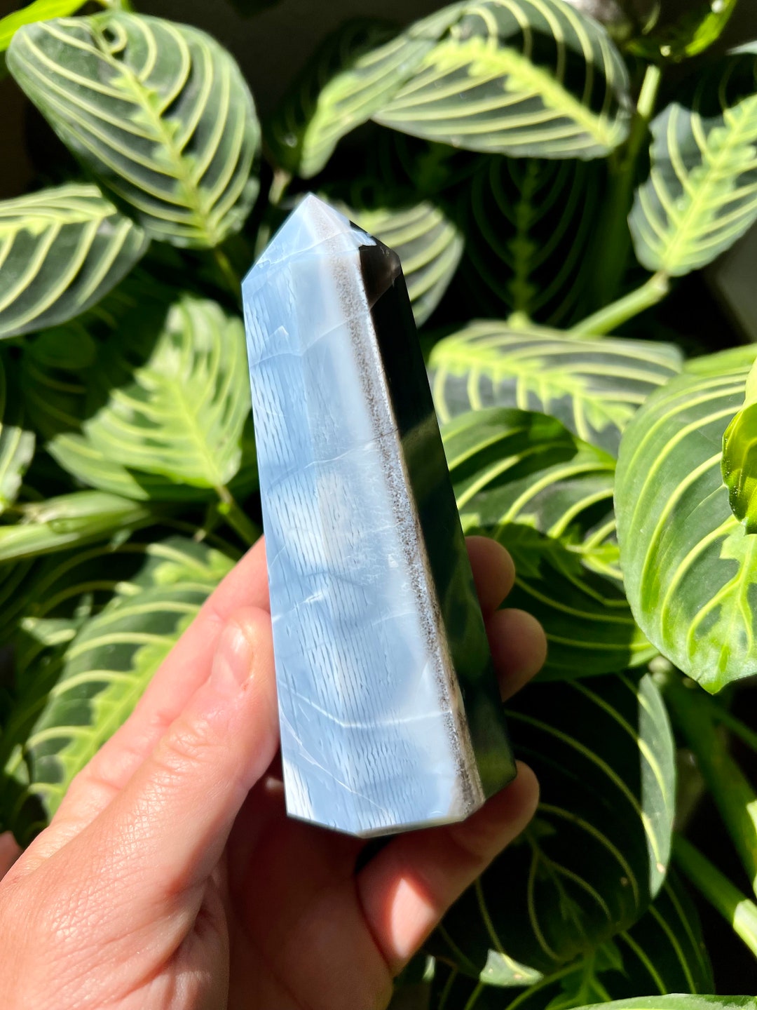 Owyhee Blue Opal Point From Oregon | Blue Opal Obelisk Point - Etsy