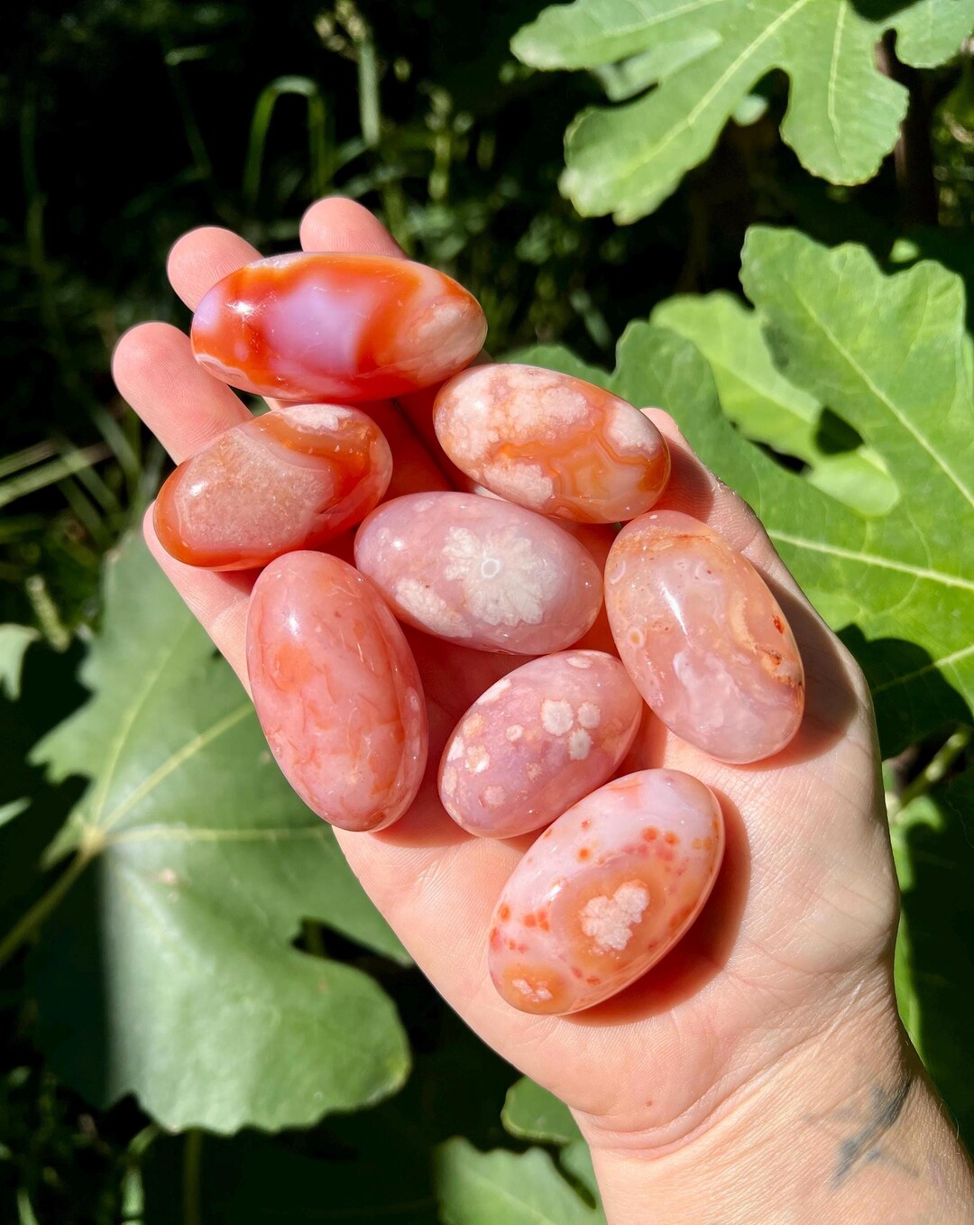Carnelian Flower Agate Tumbled Stones - Etsy