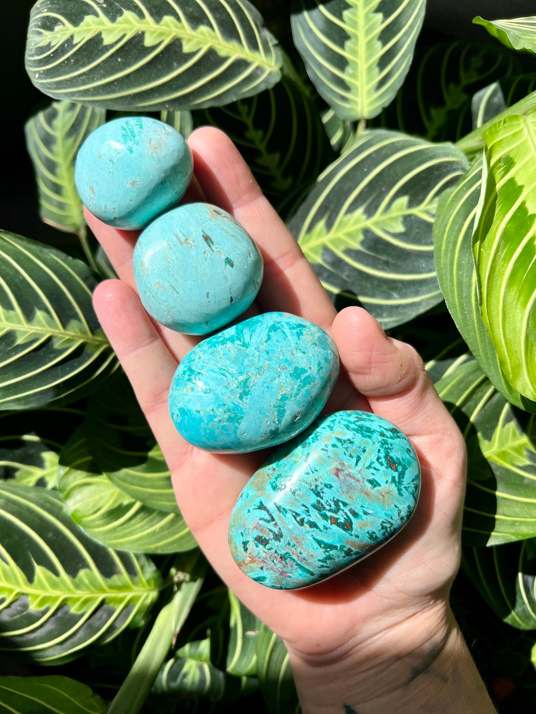 Peruvian Turquoise Palm Stones | Genuine Turquoise Pocket Stones ...