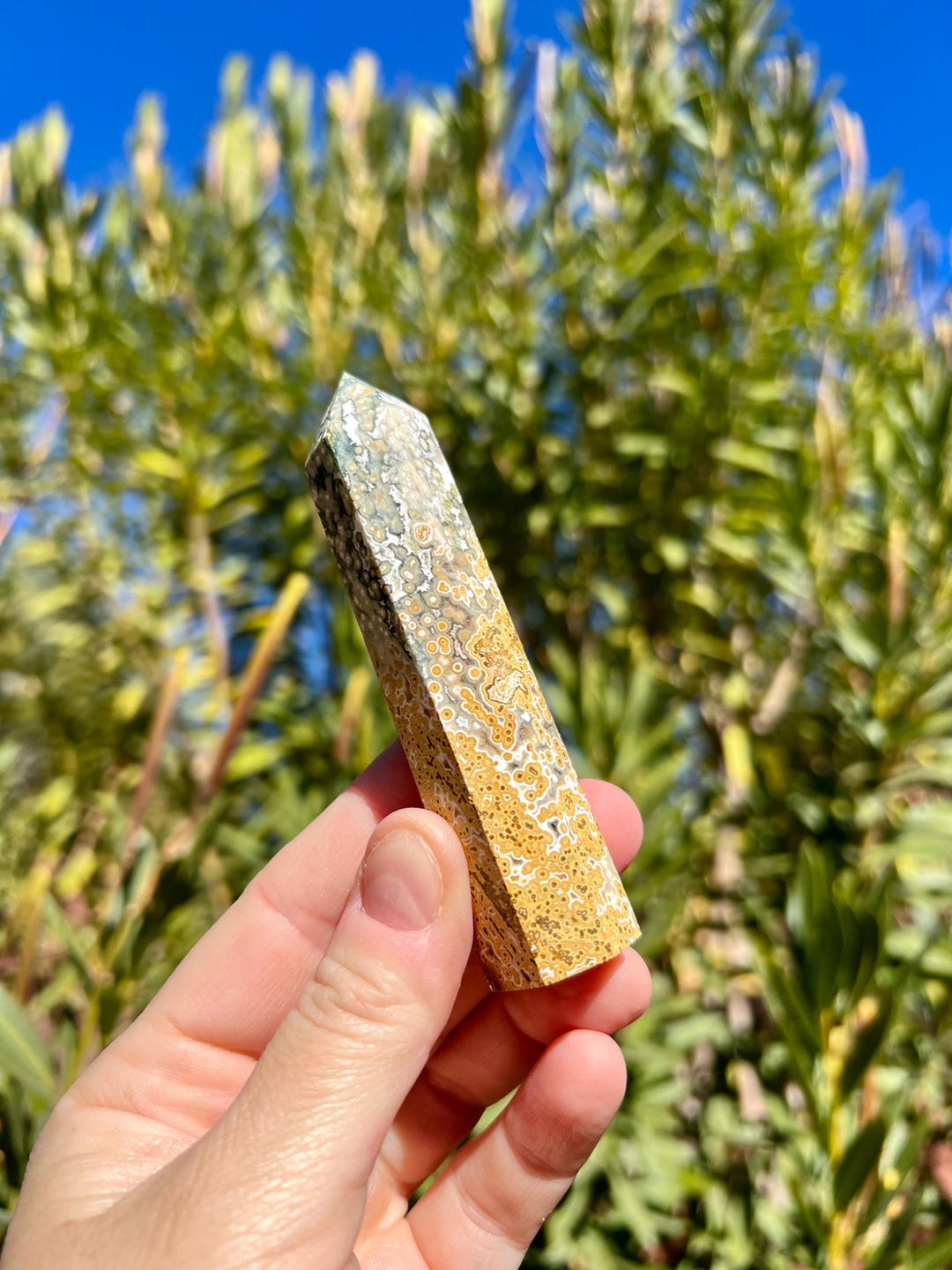 Orbicular Jasper Point | Yellow Ocean Jasper Point - Etsy