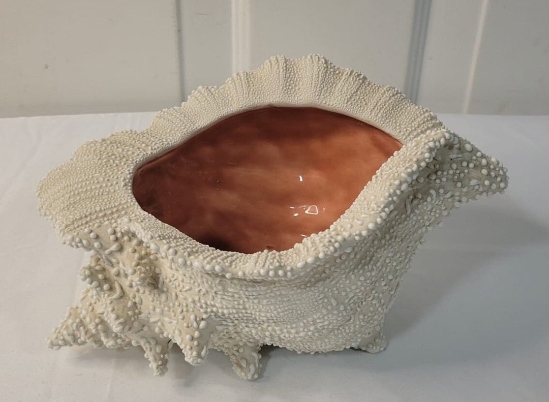 Large Decorative Conch Shell Bowl Dish White Beach House Theme Decor ...