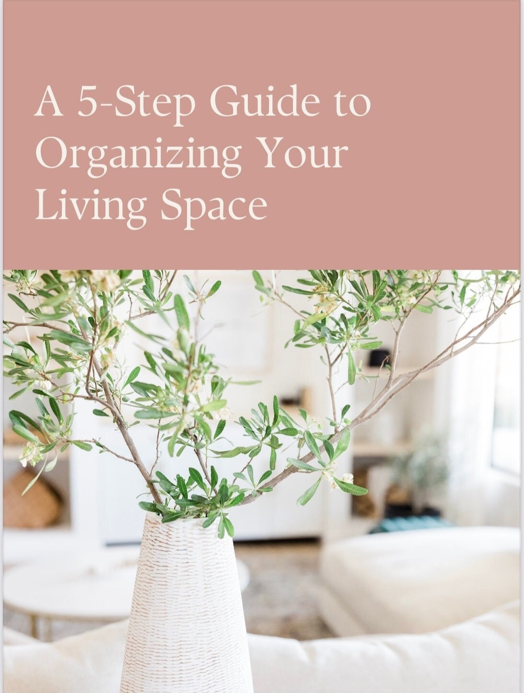 A 5-step Guide to Organizing Your Home. Home Organizational Tips to ...