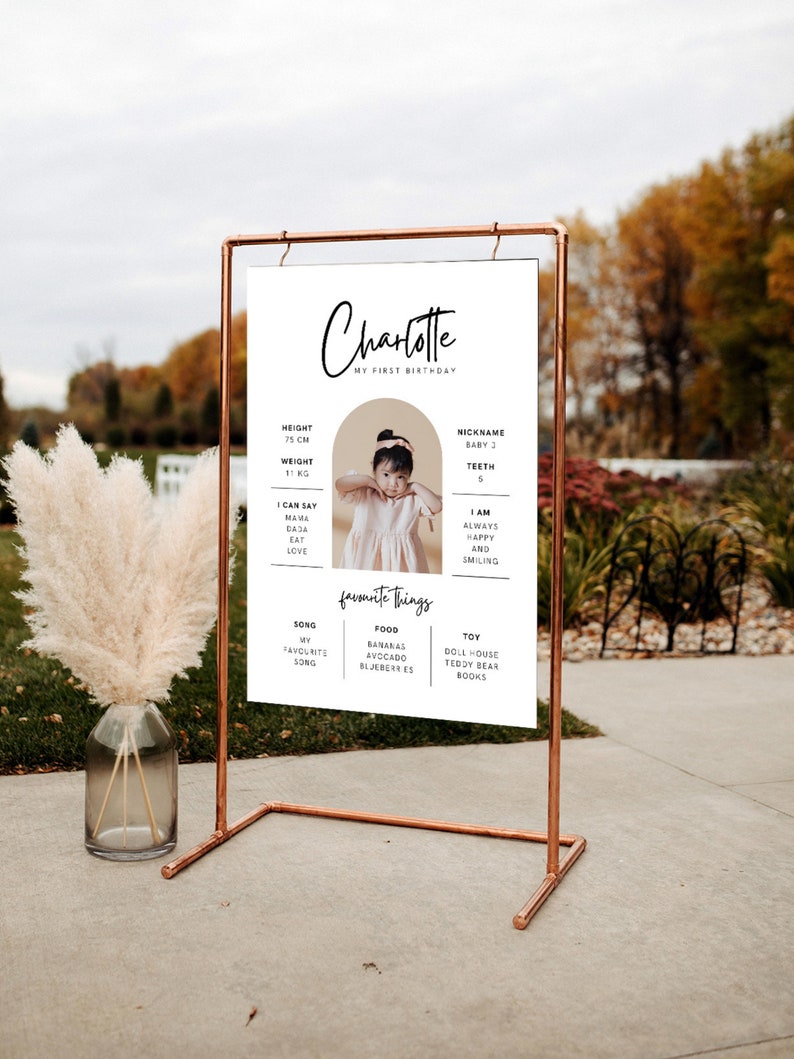 Birthday Sign Milestone 1st Birthday Girl Birthday Boy Milestone With ...