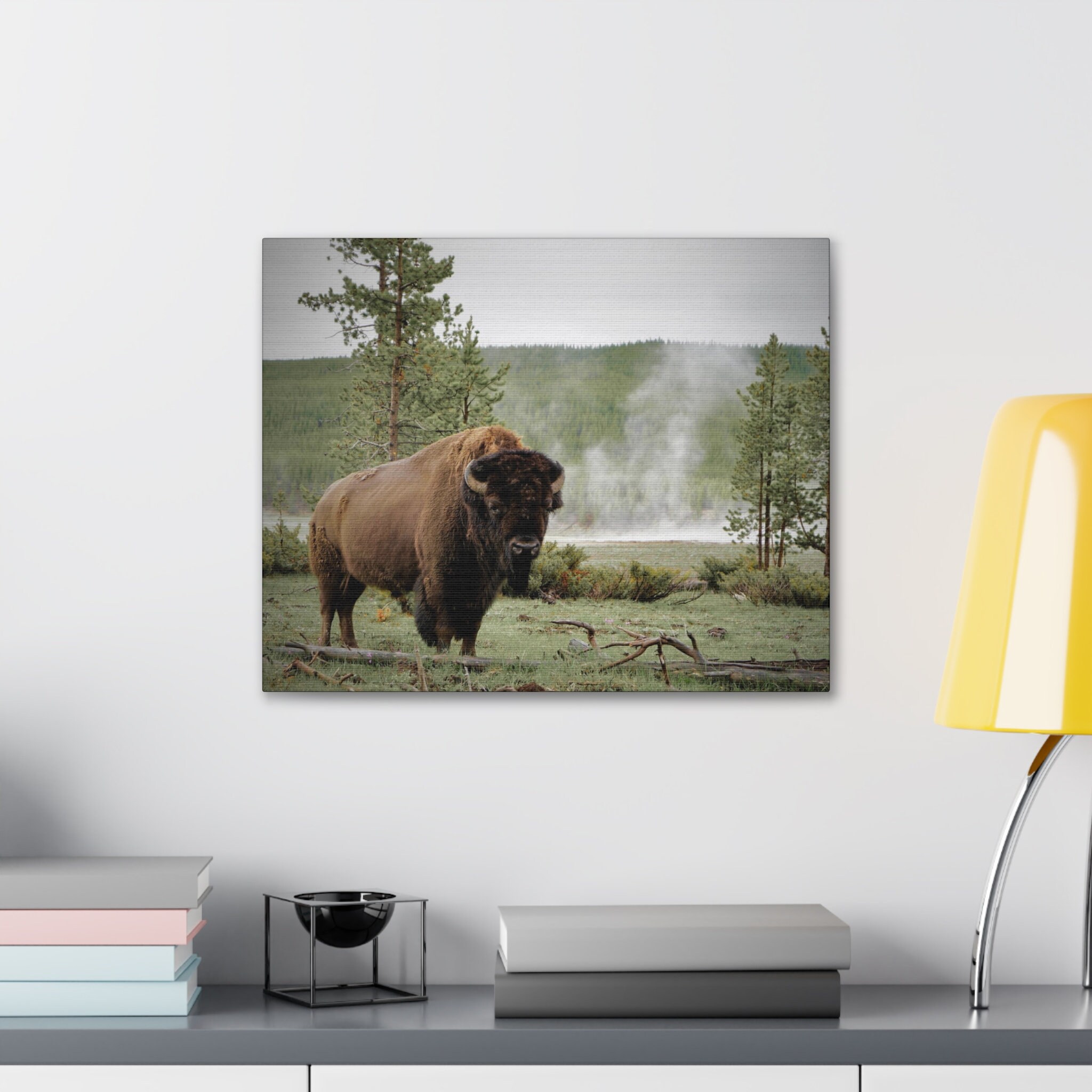 American Bison, Yellowstone, Gallery Wrapped Canvas - Etsy