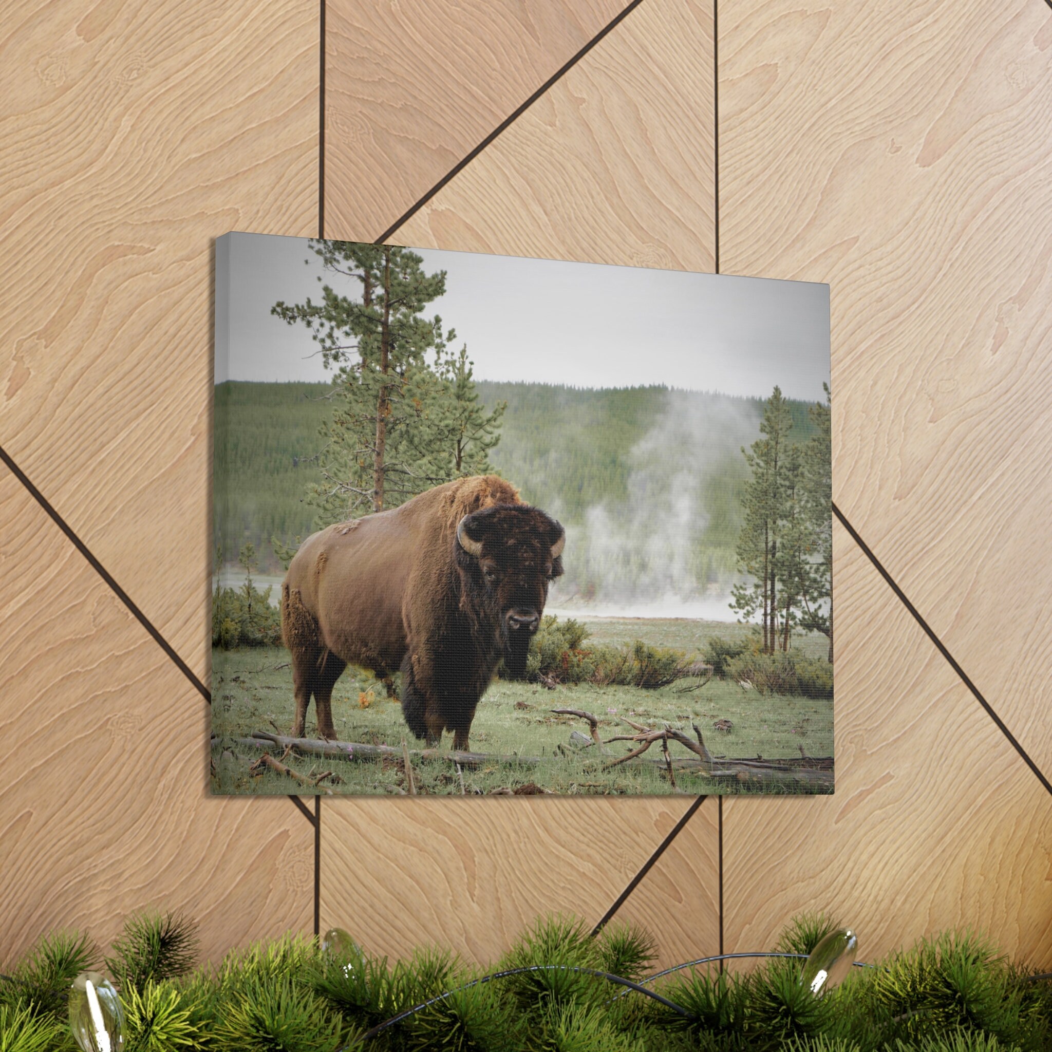 American Bison, Yellowstone, Gallery Wrapped Canvas - Etsy