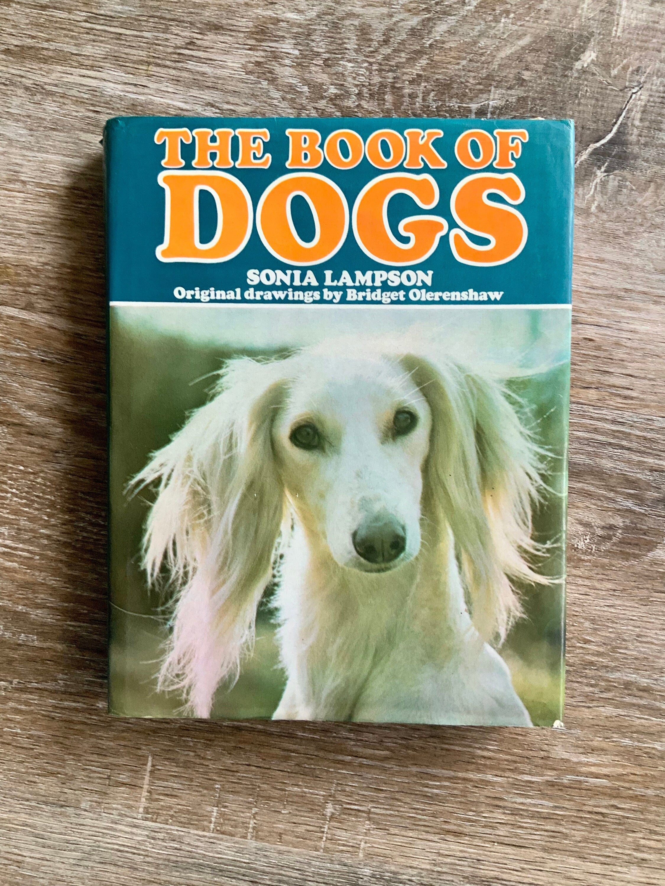 The Book of Dogs 1973 Sonia Lampson. - Etsy