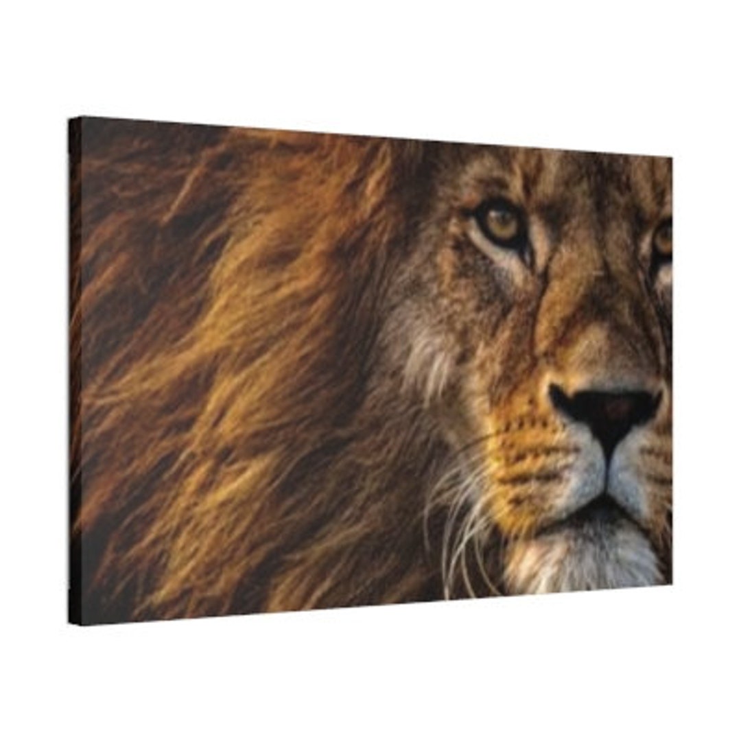 Lion Wall Art African Lion Canvas Wall Art Art Animal Canvas - Etsy