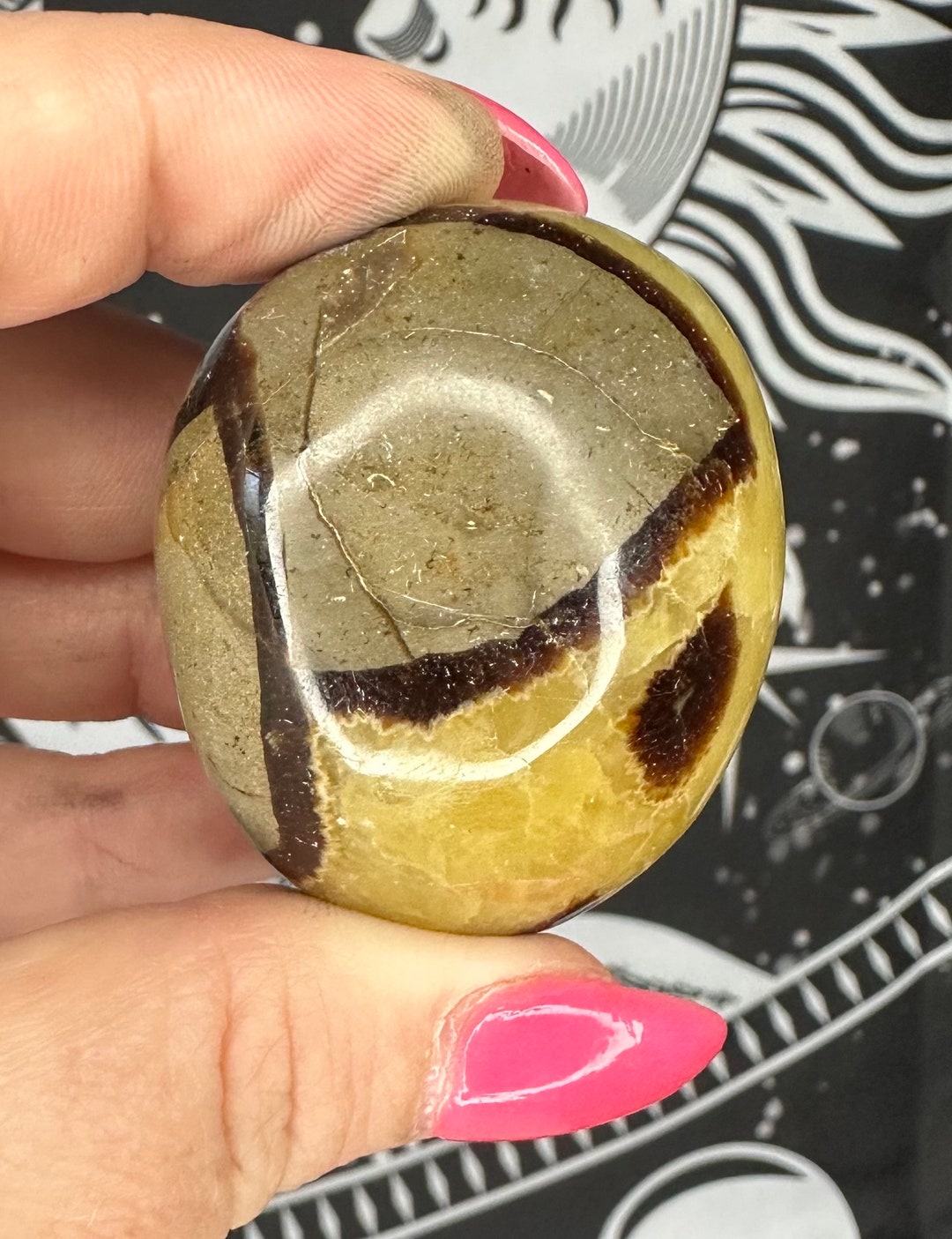 Septarian Mini Palm Stone/pebble - Etsy