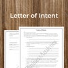 Promissory Note Balloon Payment Form | Printable | Fillable | PDF ...