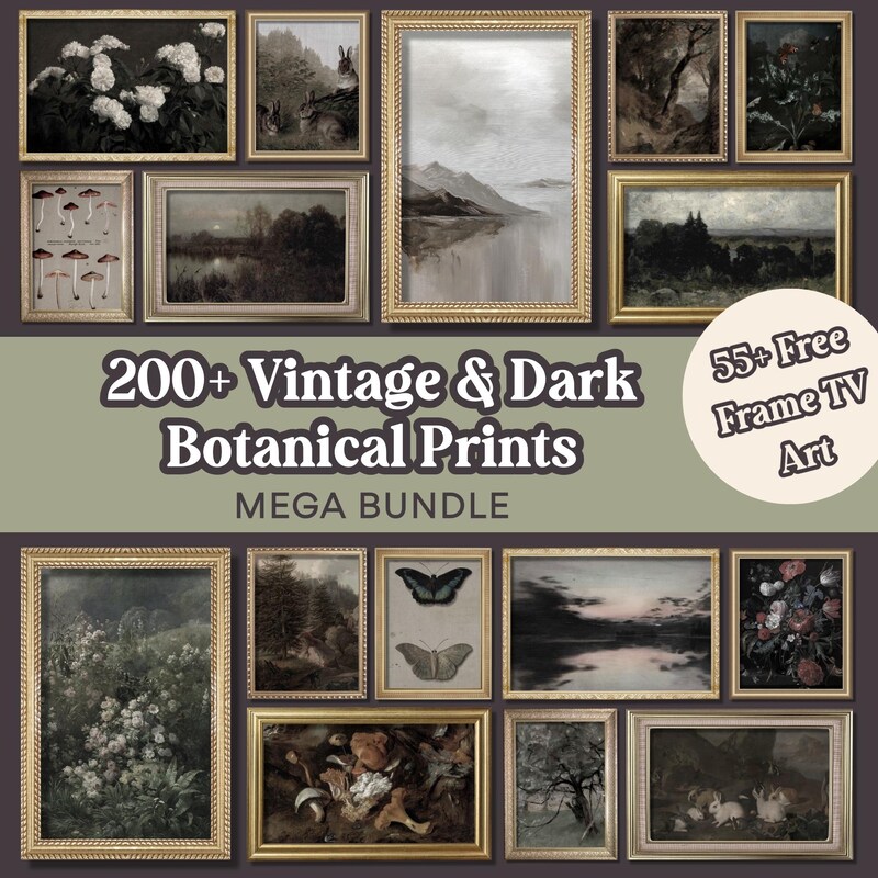 Antique Botanical Prints - Etsy