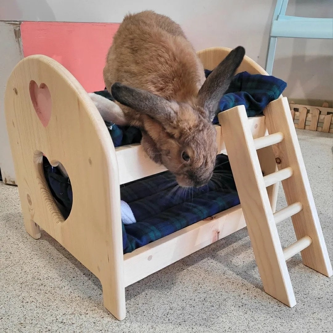 Bunny Bunk Bed - Etsy