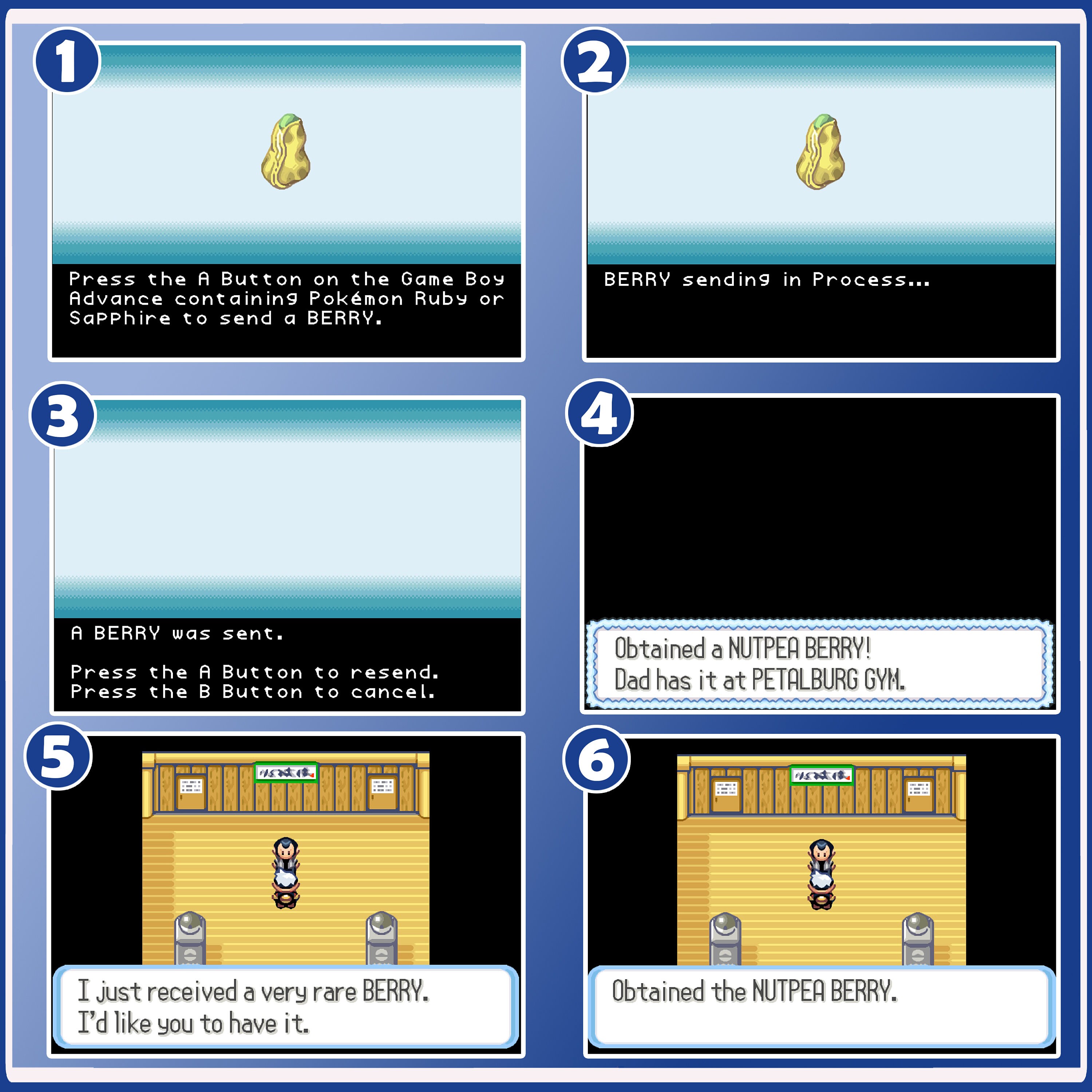 Pokemon Battle-e: Series 1 E-reader Berries Custom Cards - Etsy