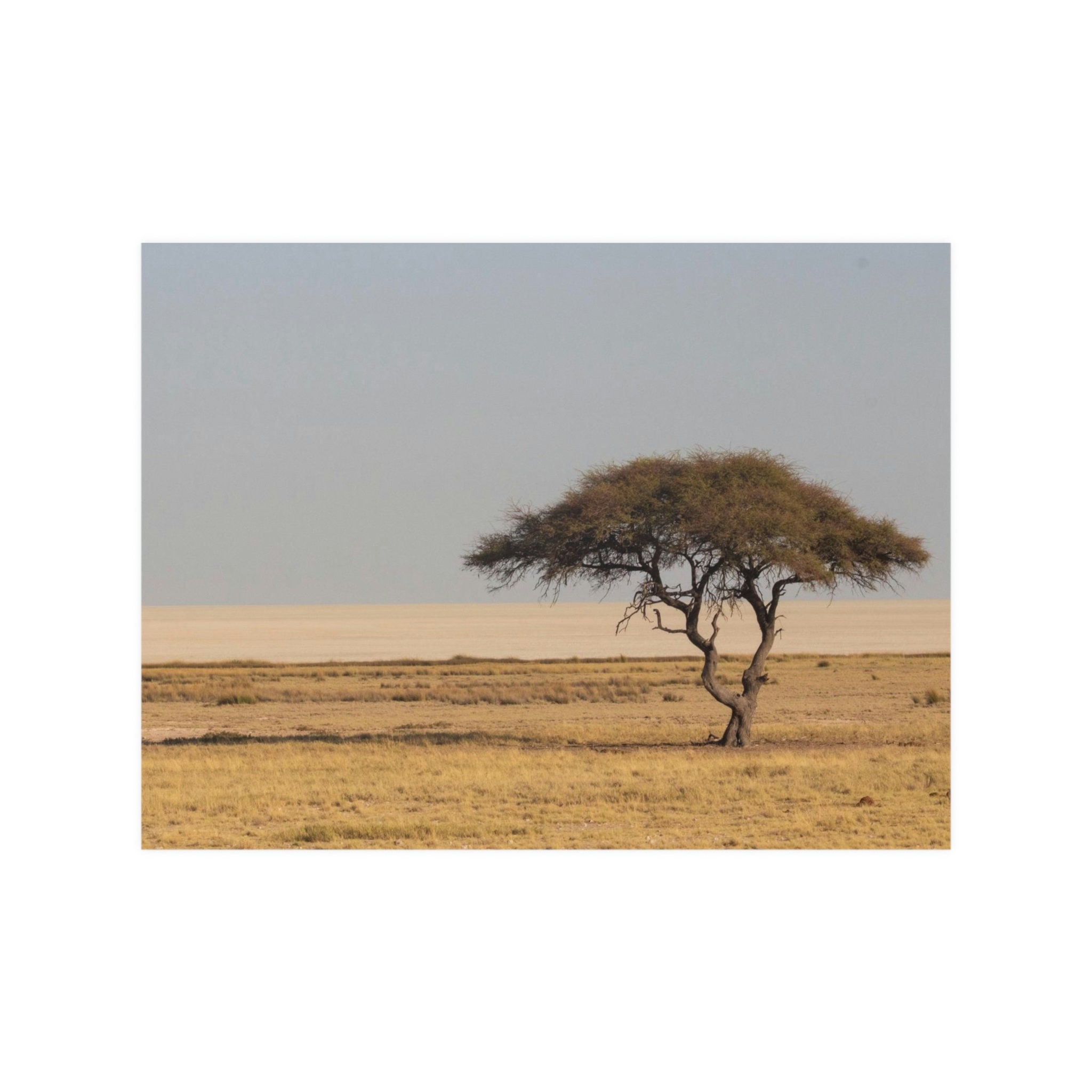 African Prairie Tree Art Print: Minimalist Landscape Poster - Etsy