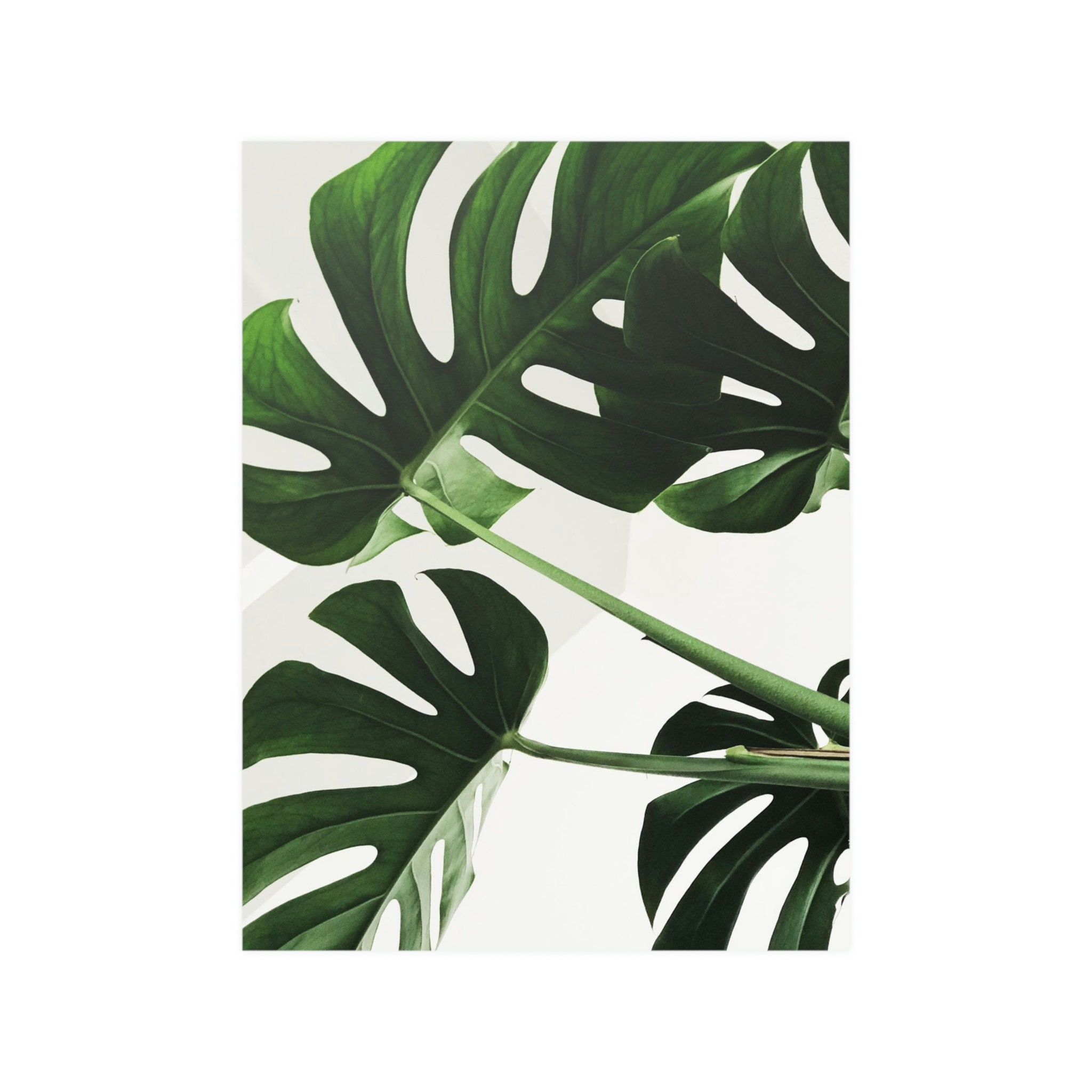 Green Leaf Wallpaper Poster, Wall Art, Green Leaf, Poster, Greenery ...