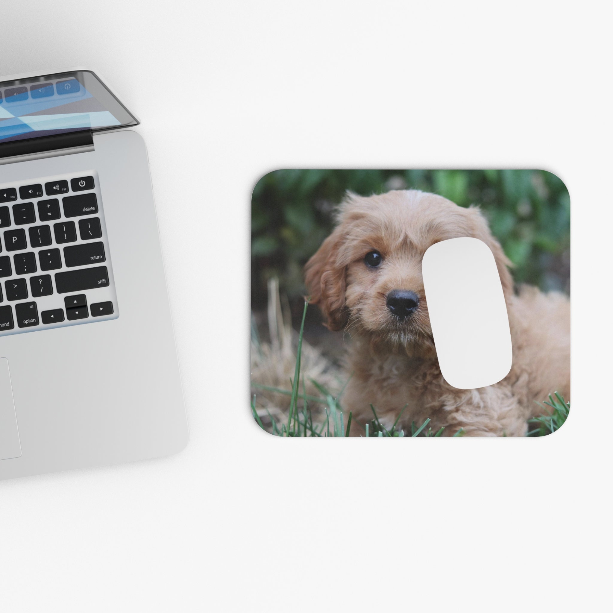 Light Brown Cavapoo Puppy Mouse Pad (rectangle) - Etsy