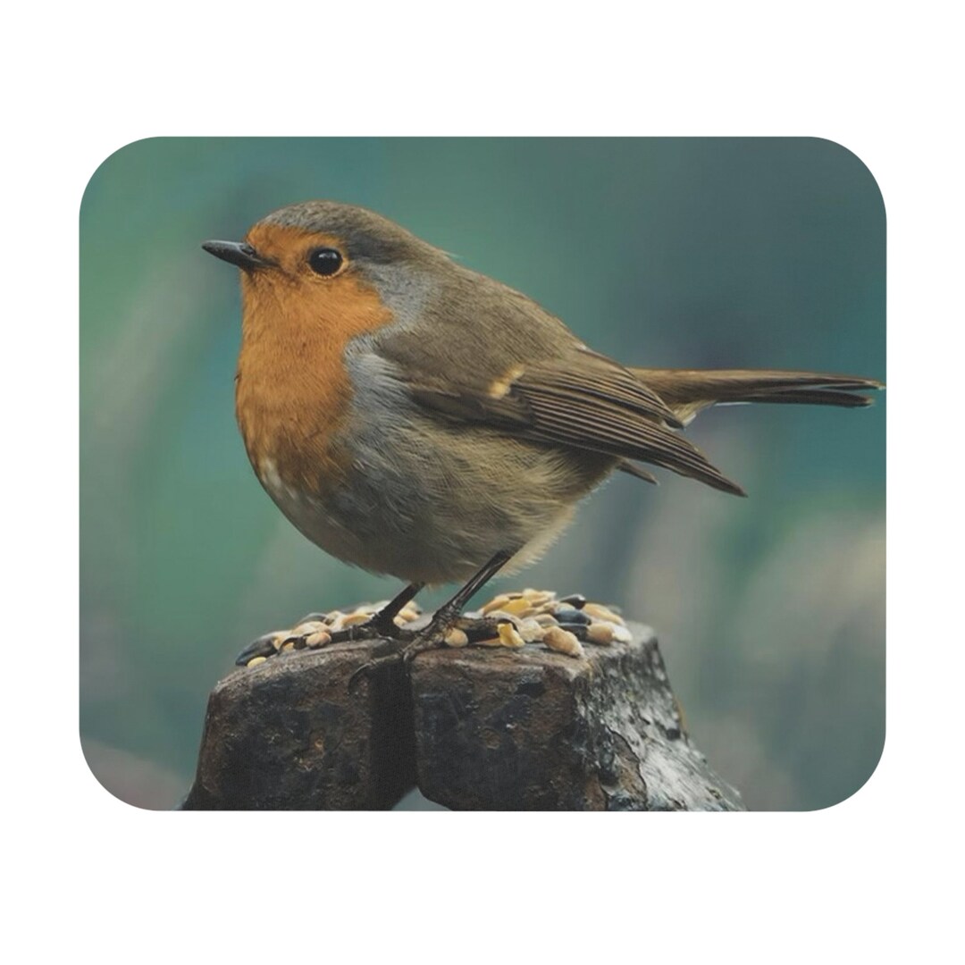 Robin Bird Mouse Pad: Pretty Bird Posing Art - Etsy