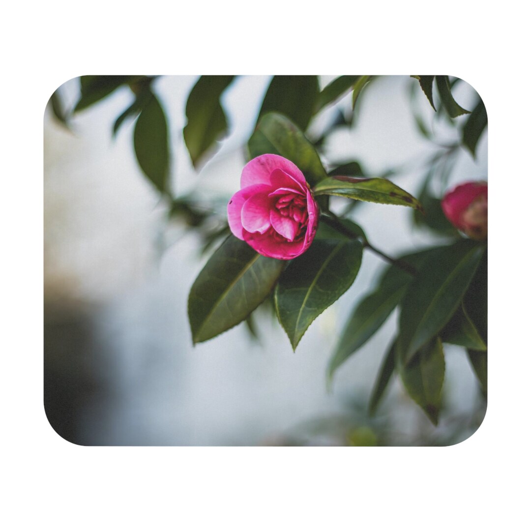 Pink Camelia Mouse Pad (rectangle) - Etsy