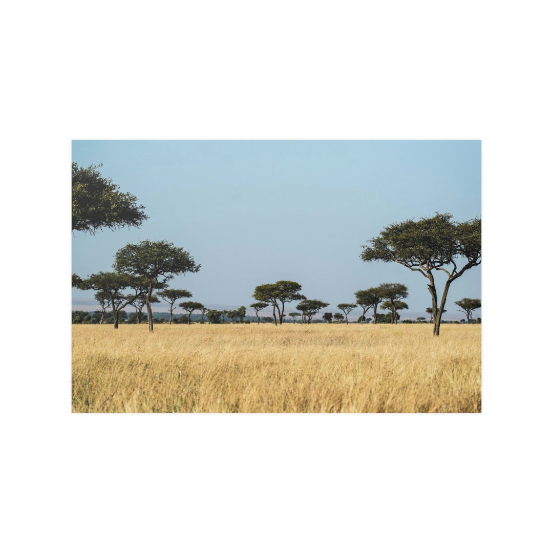 African Prairie Landscape Art Print: 210gsm Satin Poster - Etsy