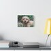 Light Brown Cavapoo Puppy Matte Canvas Print, Stretched, 1.25" - Etsy