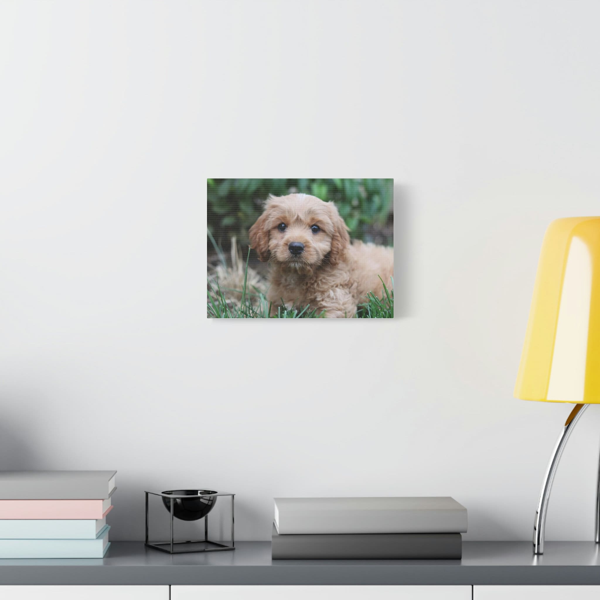 Light Brown Cavapoo Puppy Matte Canvas Print, Stretched, 1.25" - Etsy