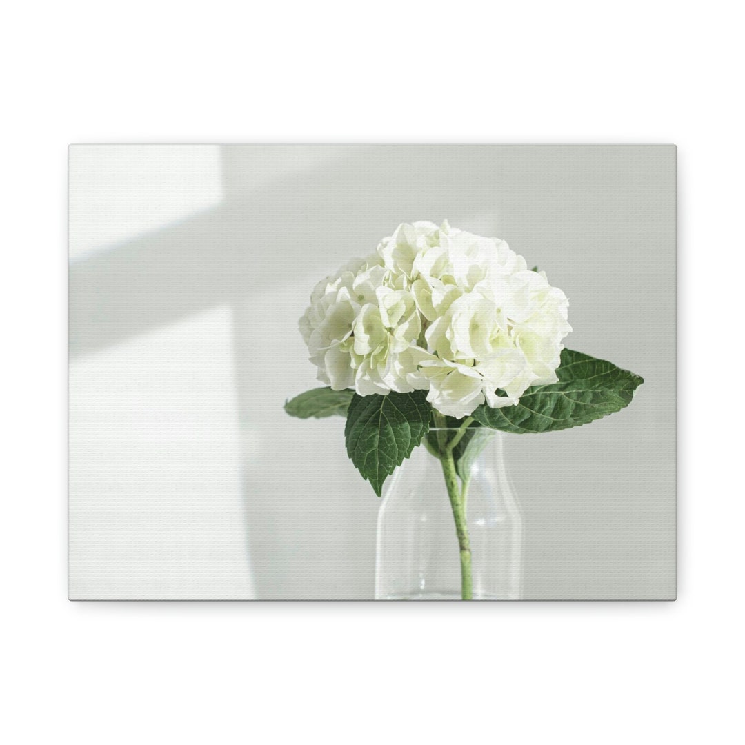 White Hydrangea Print Matte Canvas, Stretched, 1.25" - Etsy
