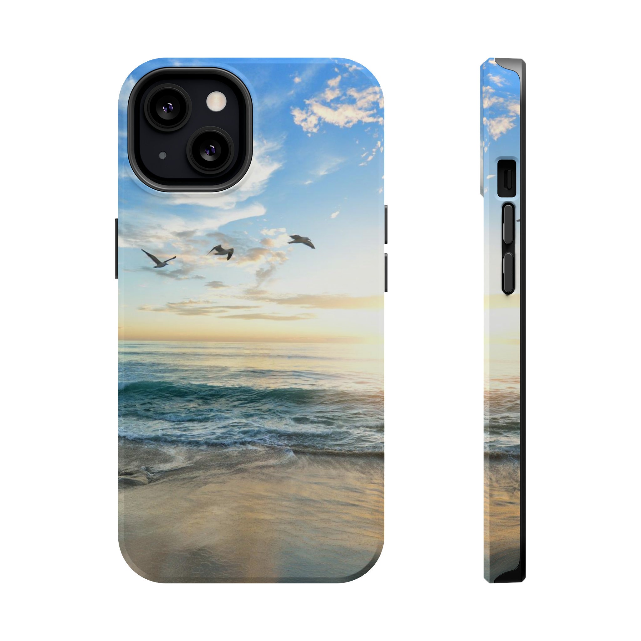 Beach Scene, Ocean Scene, Seagull, Seagulls, Beach, Ocean, Magsafe ...