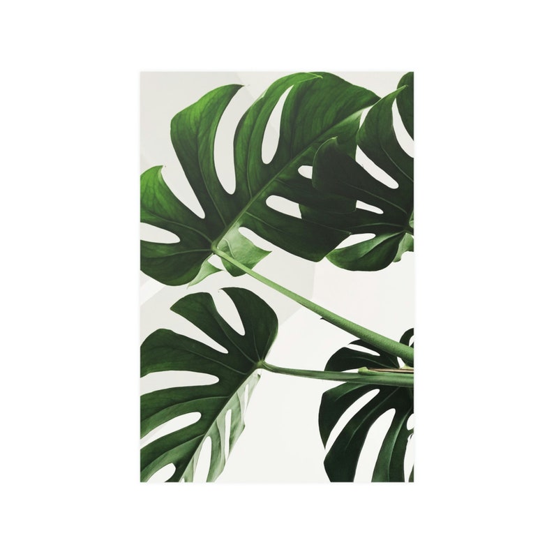 Green Leaf Wallpaper Poster, Wall Art, Green Leaf, Poster, Greenery ...