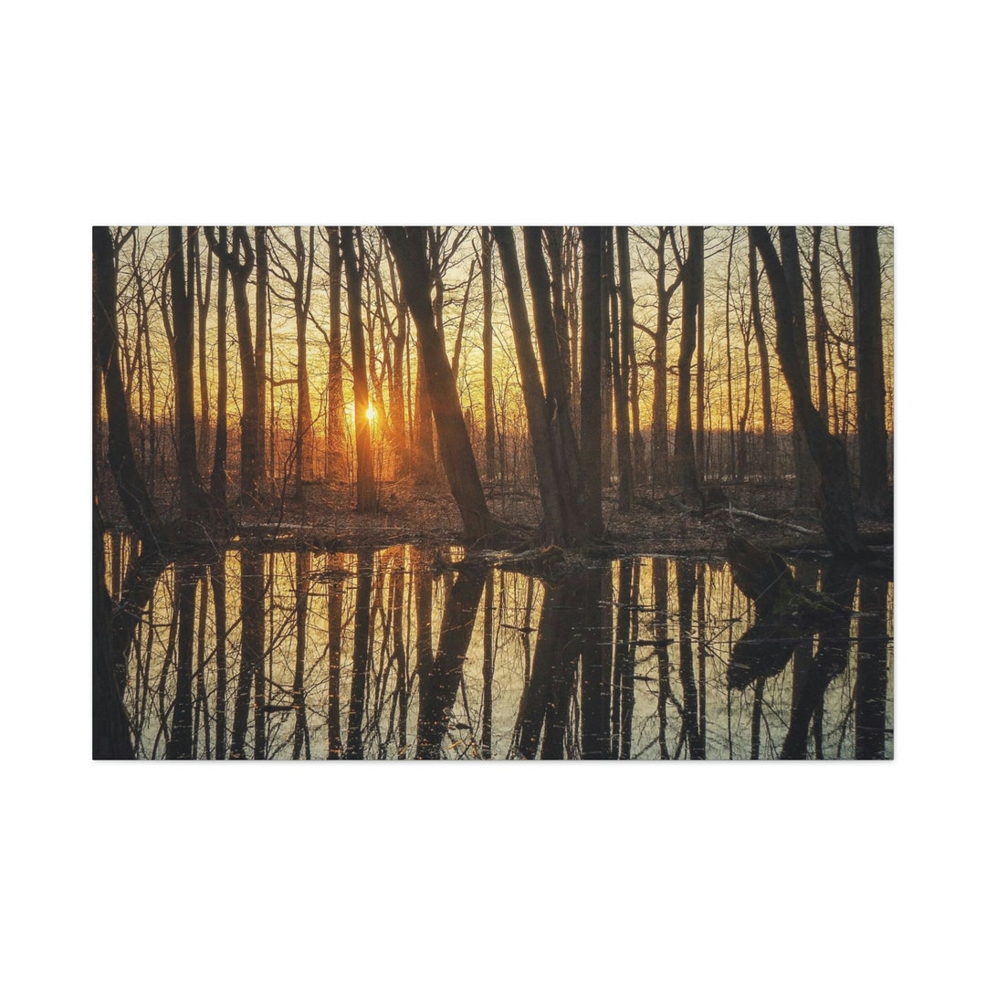 Duck Hunting Flooded Timber Print Matte Canvas, Stretched, 1.25" - Etsy
