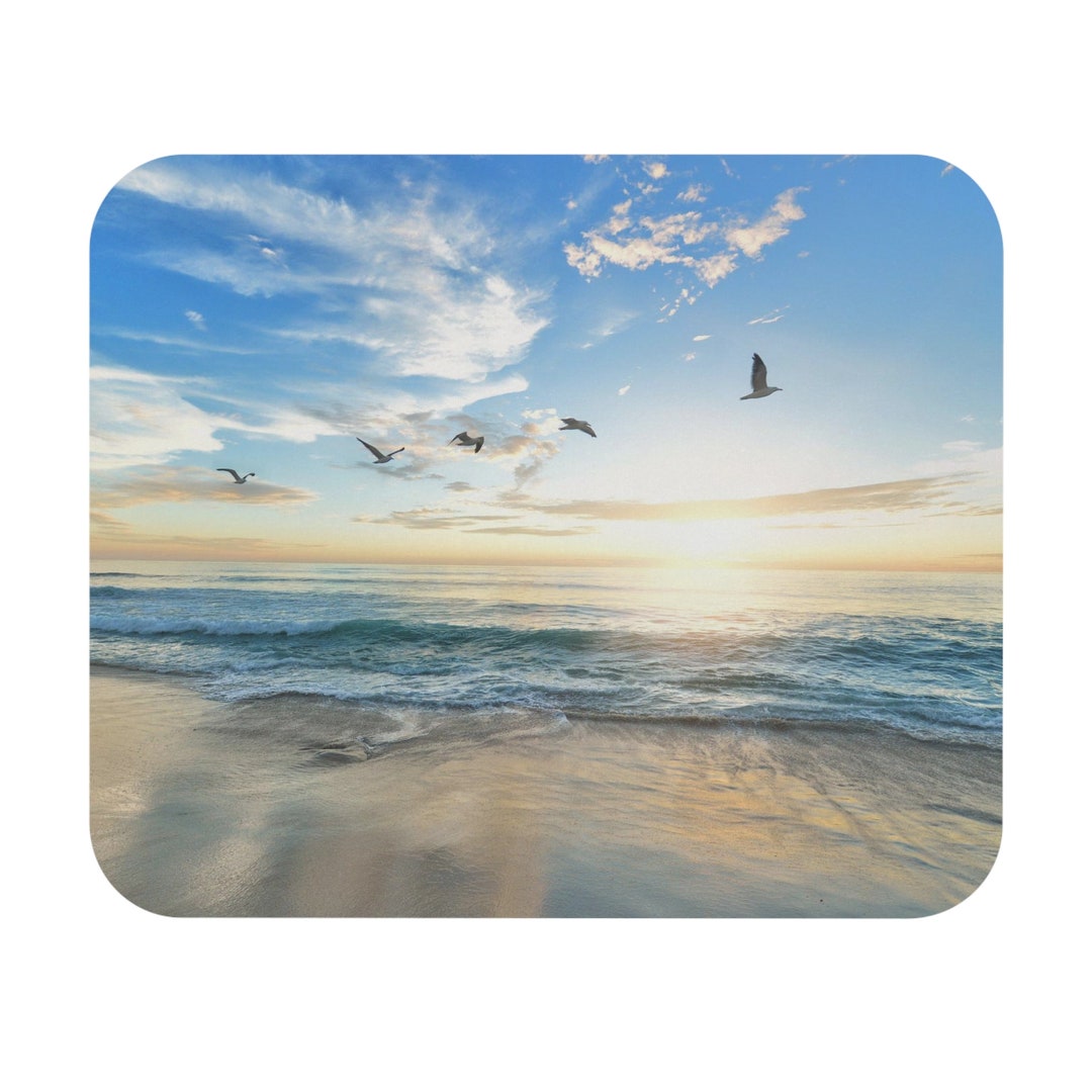 Seagull, Beach, Ocean, Sea, Sunlight, Sunshine, Sun, Sand, Water, Mouse ...