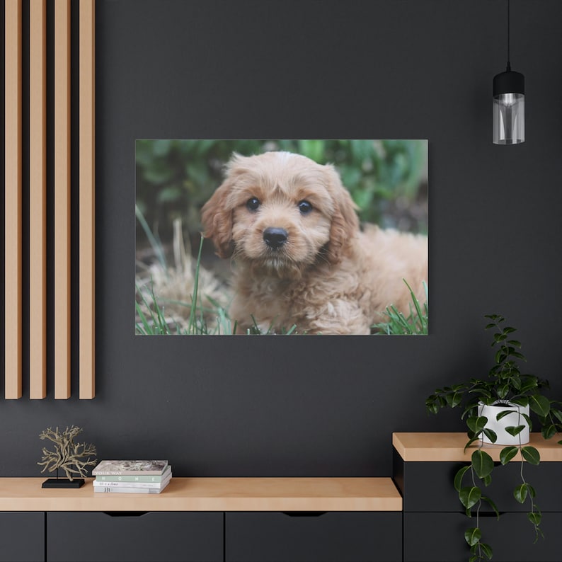 Light Brown Cavapoo Puppy Matte Canvas Print, Stretched, 1.25" - Etsy