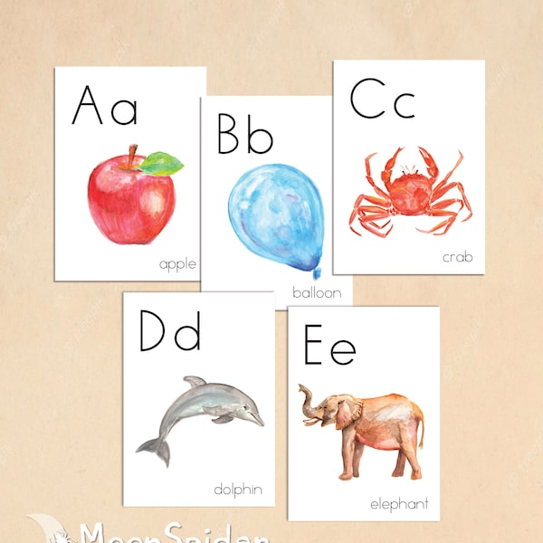 Individual Alphabets for Classroom - Etsy
