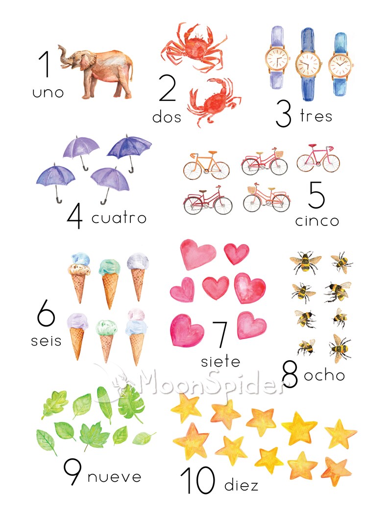 SPANISH Numbers 1-10 Downloadable Poster Watercolour - Etsy