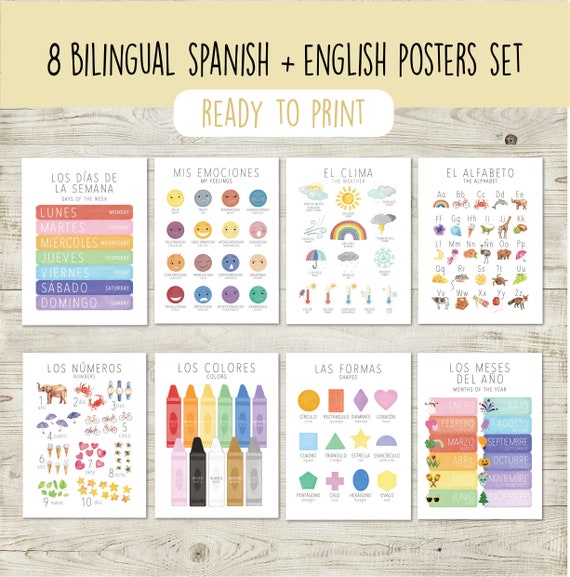 Spanish Alphabet Educational Laminated Chart Buy ABC Alphabet Spanish