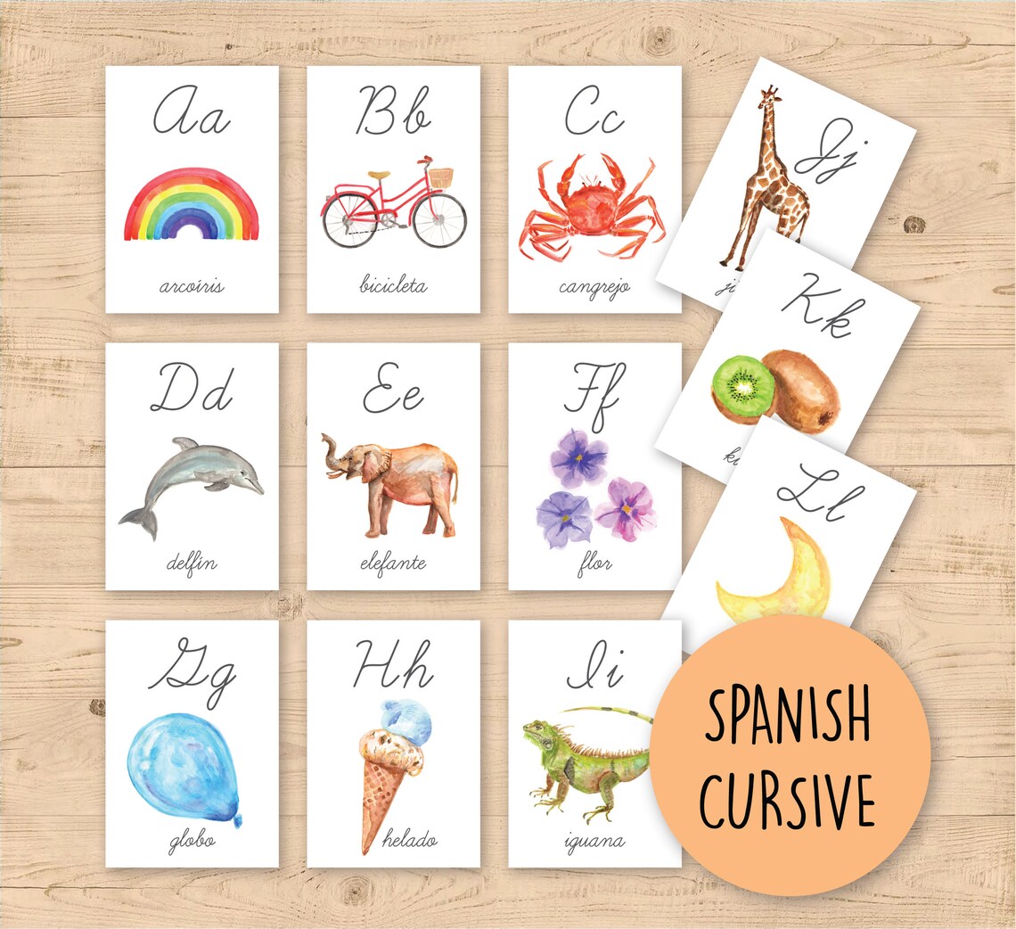 SPANISH Alphabet ABC Flash Cards Cursive, Realistic Watercolor ...