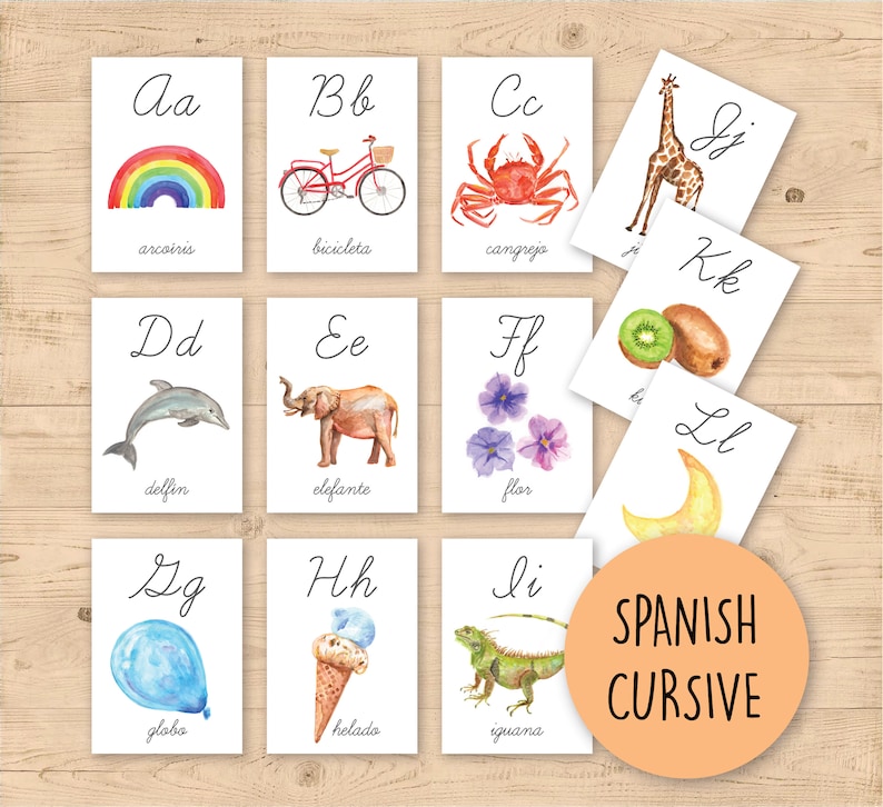 SPANISH Alphabet ABC Flash Cards Cursive, Realistic Watercolor ...