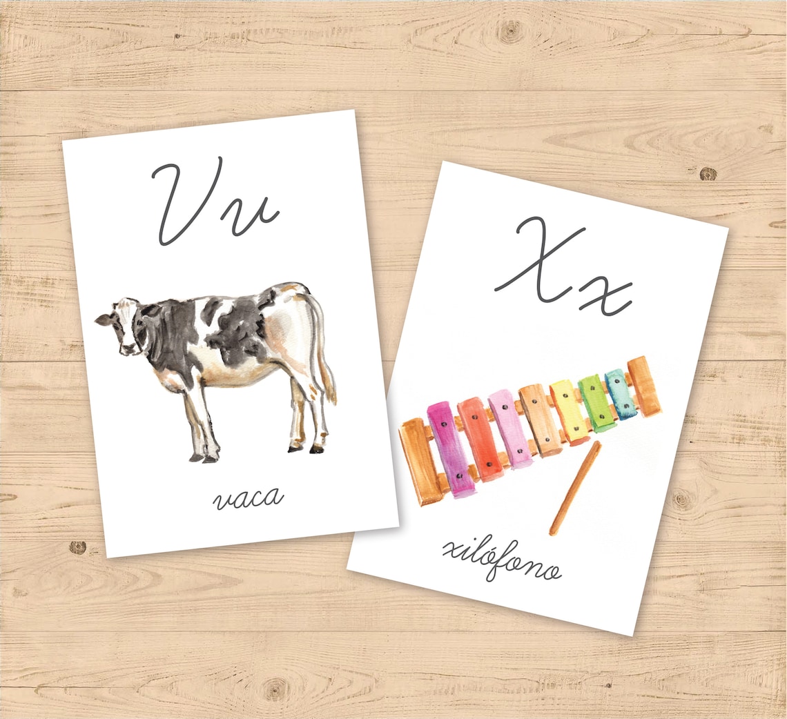 SPANISH Alphabet ABC Flash Cards Cursive, Realistic Watercolor ...