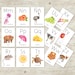 SPANISH Alphabet ABC Flash Cards, Realistic Watercolor Montessori ...