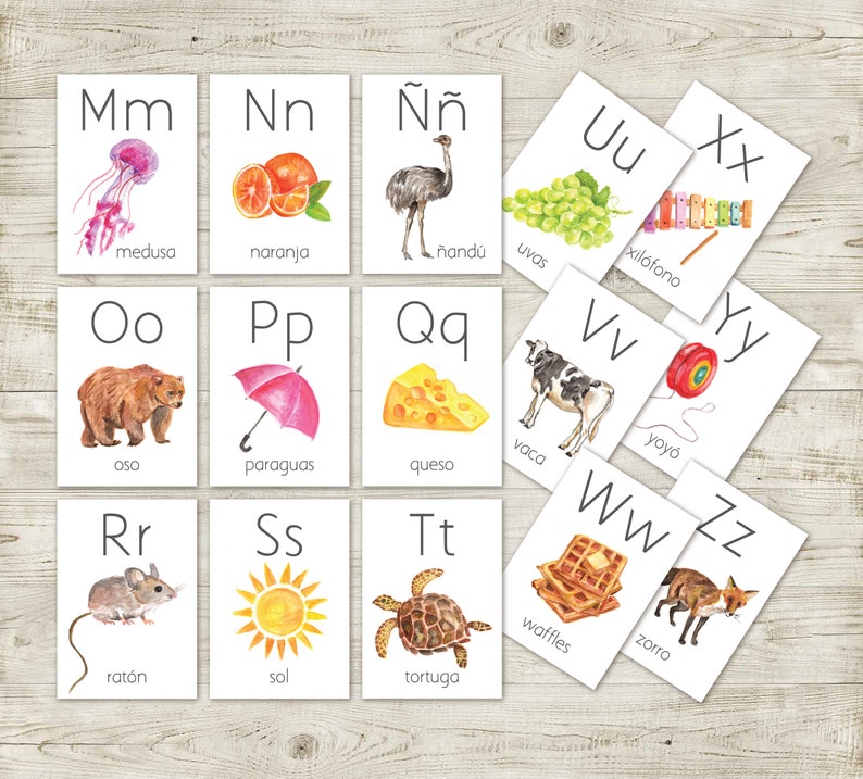 SPANISH Alphabet ABC Flash Cards, Realistic Watercolor Montessori ...