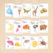 SPANISH Alphabet Individual Downloadable Posters, for Classroom Use - Etsy