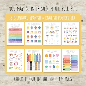 SPANISH Bilingual Days of the Week, Months of the Year Poster ...