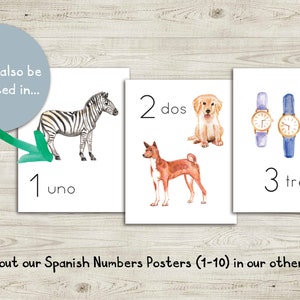 SPANISH Alphabet Individual Downloadable Posters for - Etsy
