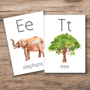 Alphabet Cards, Alphabet Flashcards, Watercolor Illustrations ...
