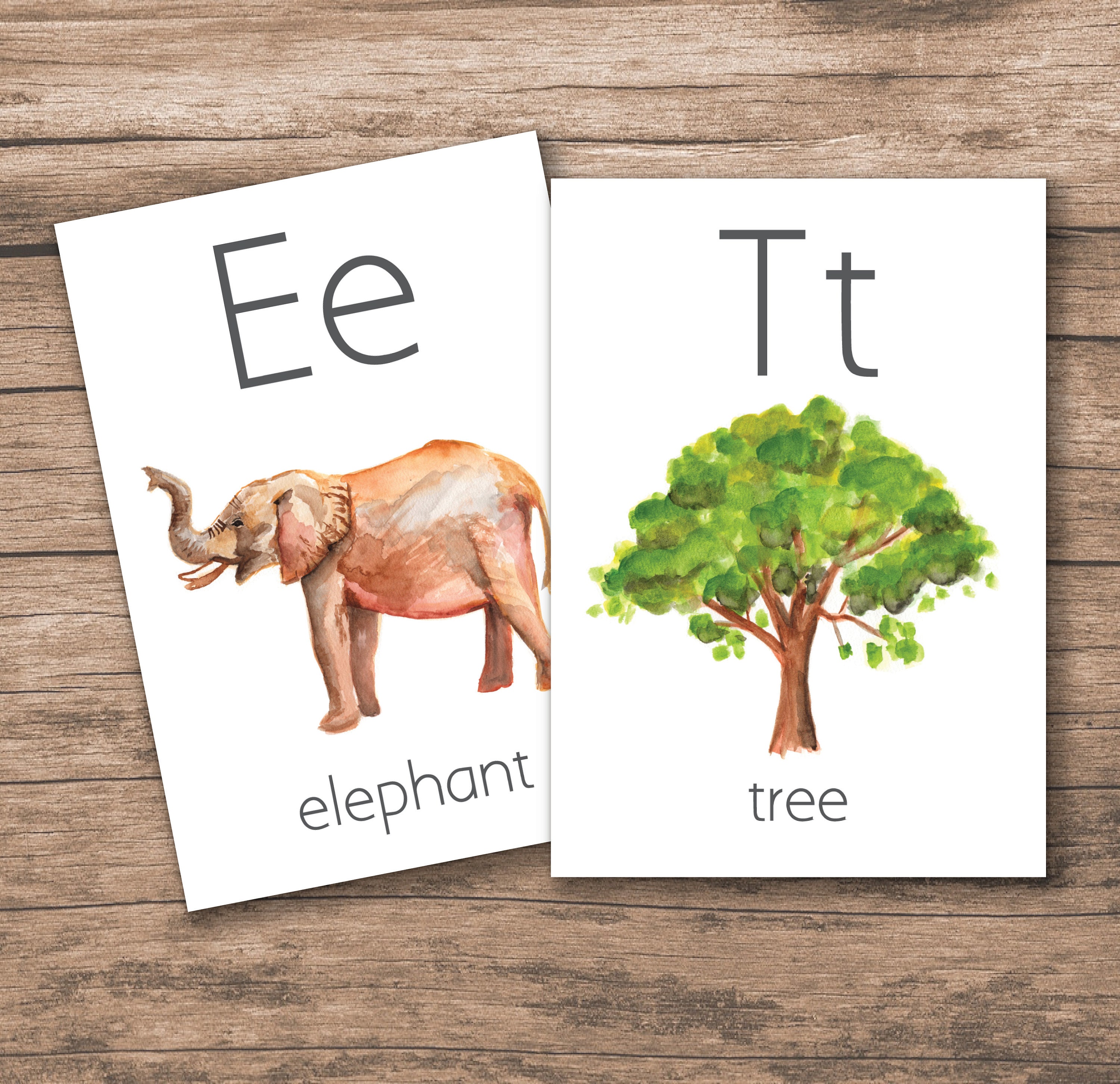 Alphabet Cards, Alphabet Flashcards, Watercolor Illustrations ...