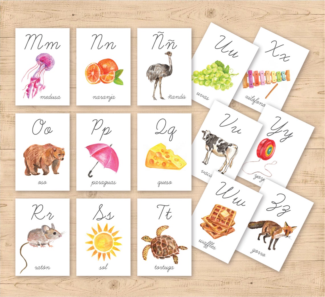 SPANISH Alphabet ABC Flash Cards Cursive, Realistic Watercolor ...