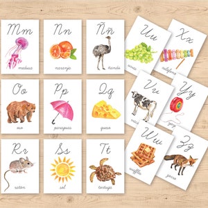 SPANISH Alphabet ABC Flash Cards Cursive, Realistic Watercolor ...