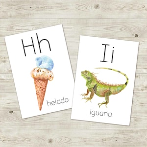 SPANISH Alphabet ABC Flash Cards, Realistic Watercolor Montessori ...