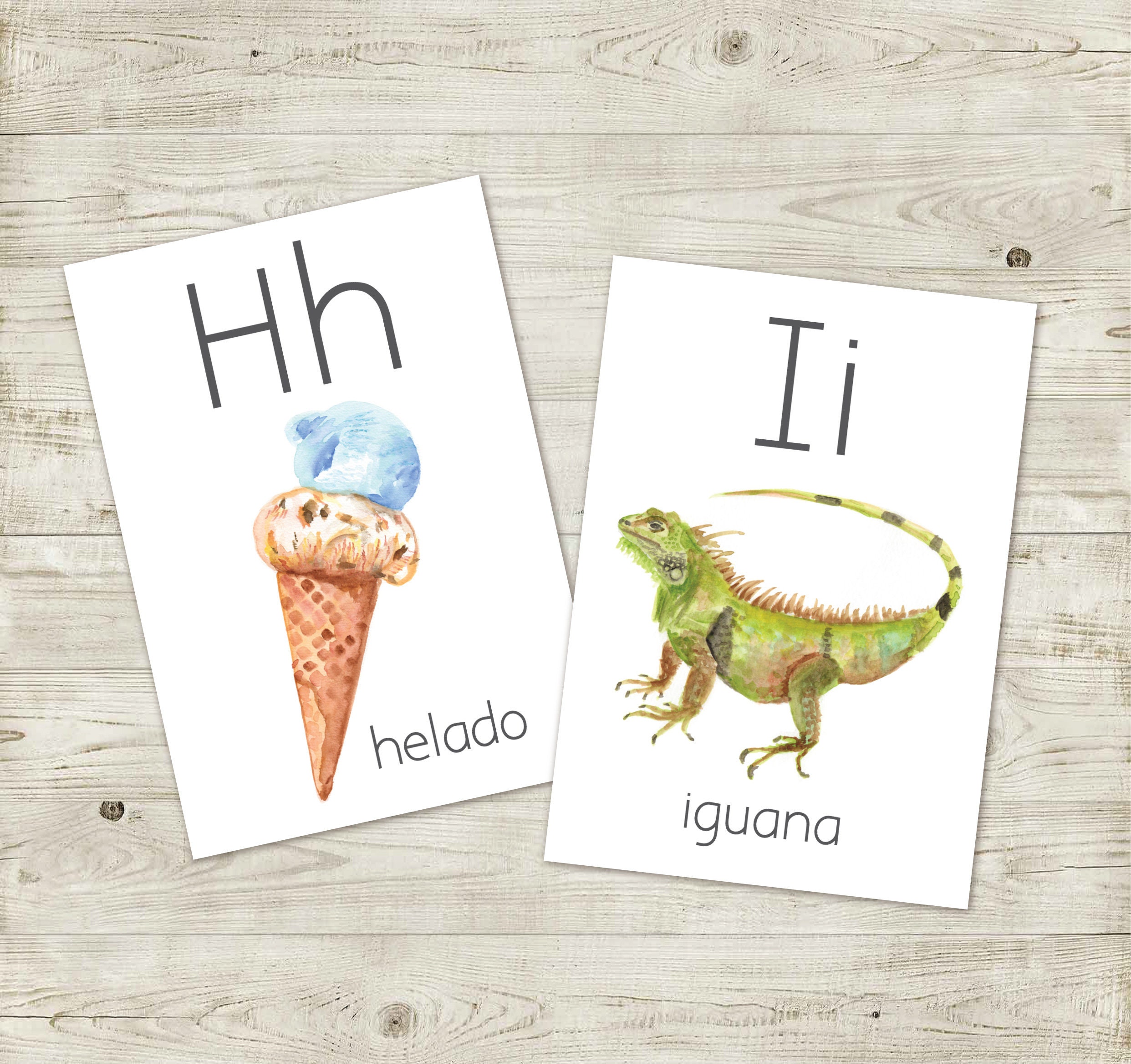 SPANISH Alphabet ABC Flash Cards, Realistic Watercolor Montessori ...